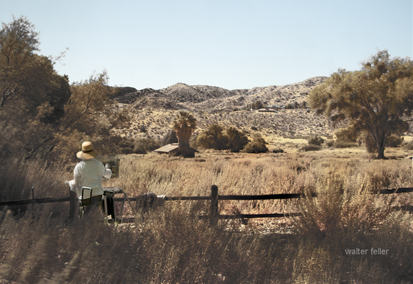 Big Morongo Canyon Preserve