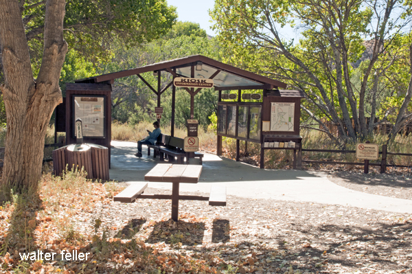 Big Morongo Canyon Preserve