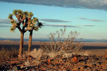 History of El Mirage, California