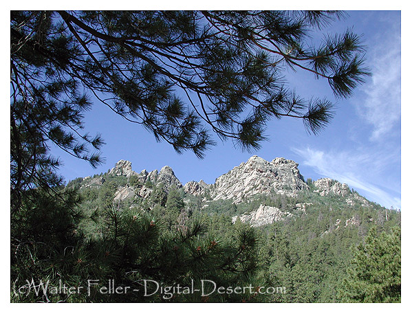 Hualapai Mountain Park, Kingman, Az