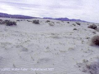 Owens dry lake - Olancha Dunes
