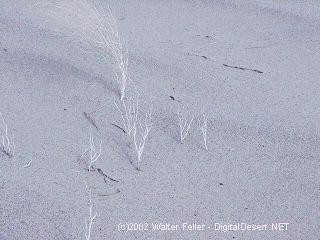 Owens dry lake - Olancha Dunes