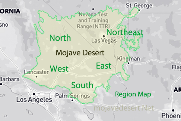 The Study of Geography and the Mojave Desert Subregions