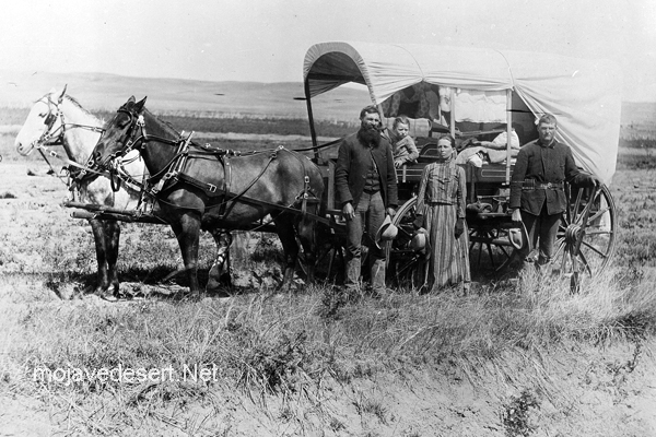 Wagons, Carriages & Carts